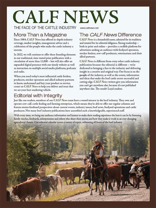 Calf News – The Face of the Cattle Industry