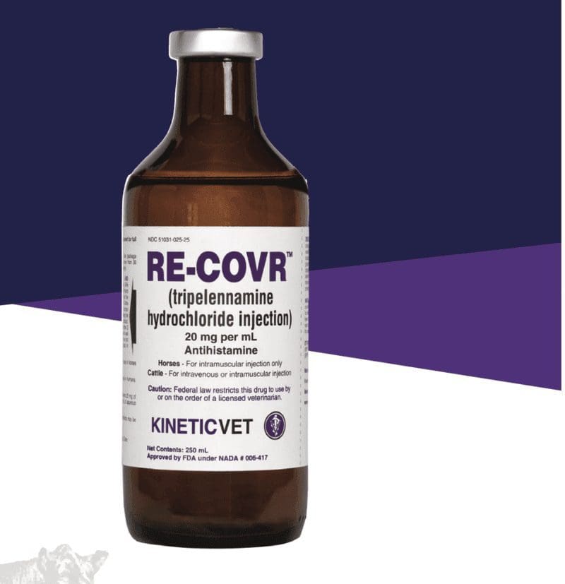 KineticVet Announces Availability of RE-COVR™ | Calf News